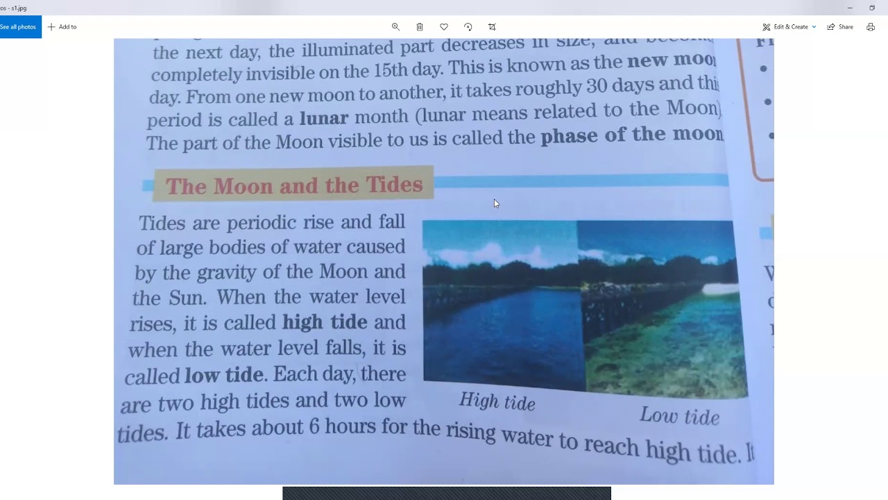 Grade 5 science - YouTube