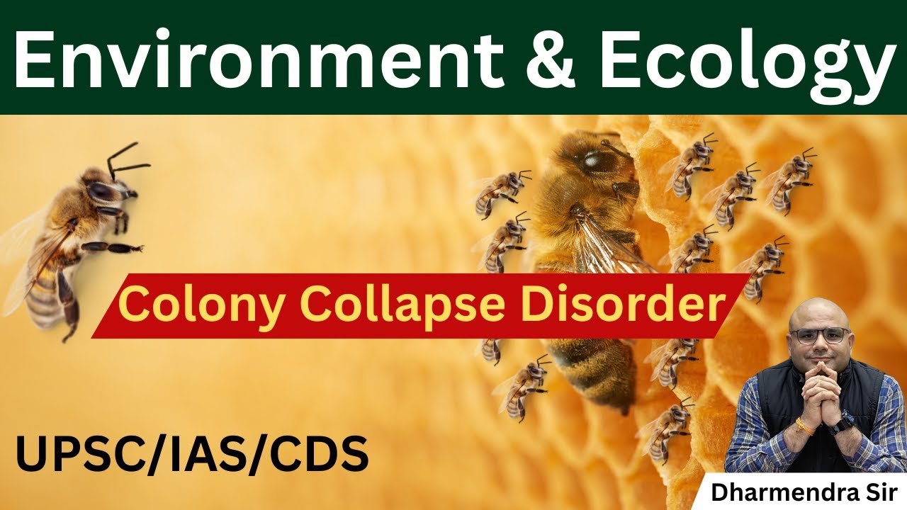 Colony Collapse Disorder #dharmendrasir #ecology #upsc #civilservices # ...