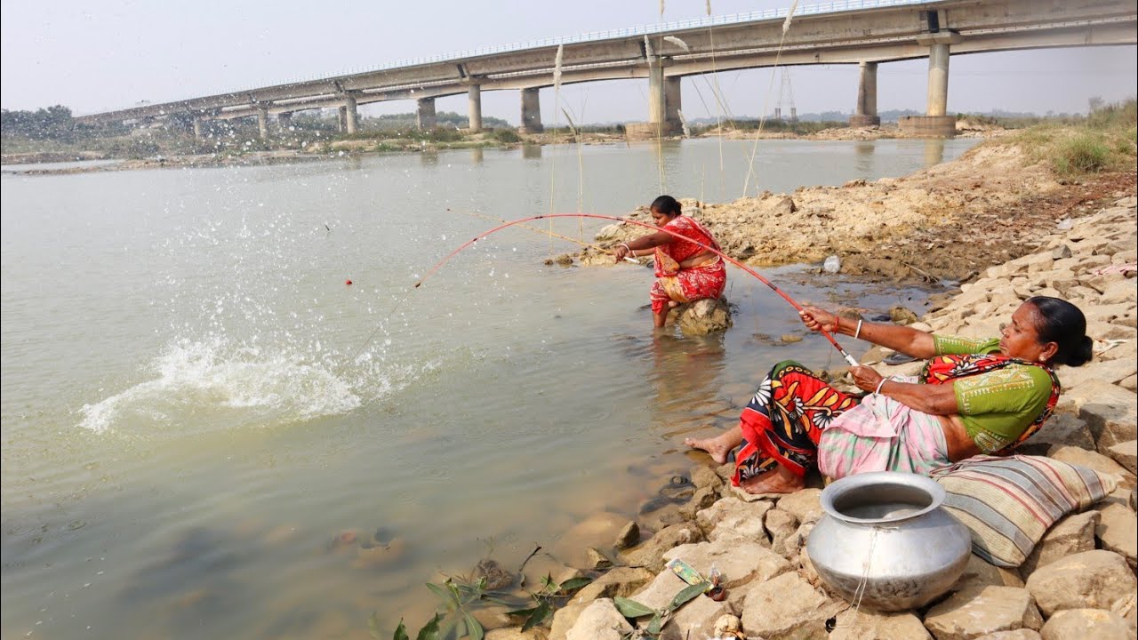 Fishing video😱|| Hook fishing techniques in village river || Fish ...