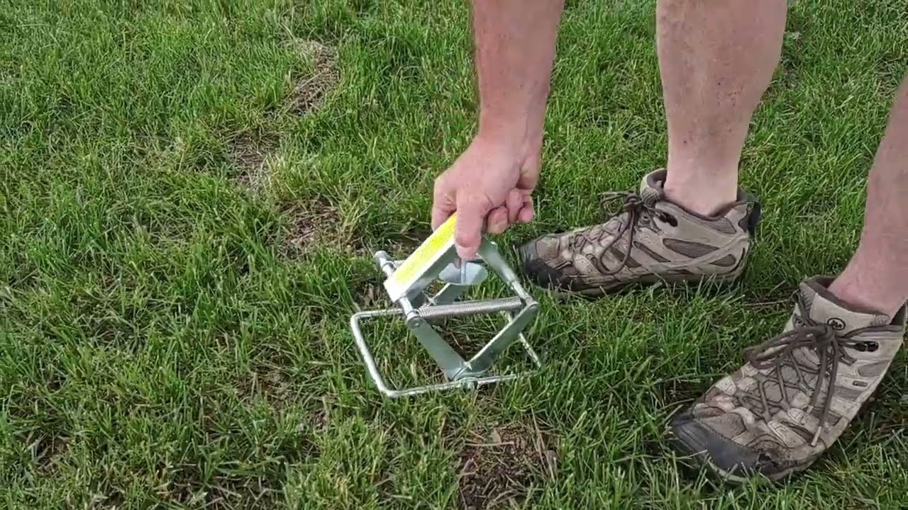 EasySet Mole Set - YouTube