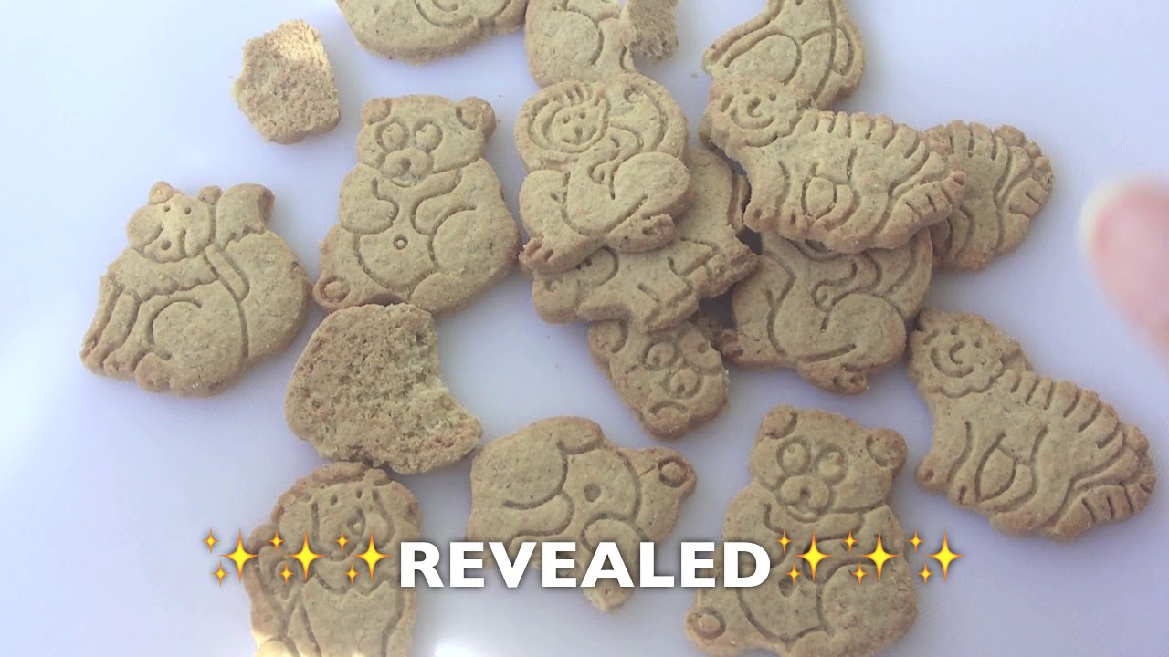 Children Organic Snackimals Cookies Oatmeal Video 32 - YouTube