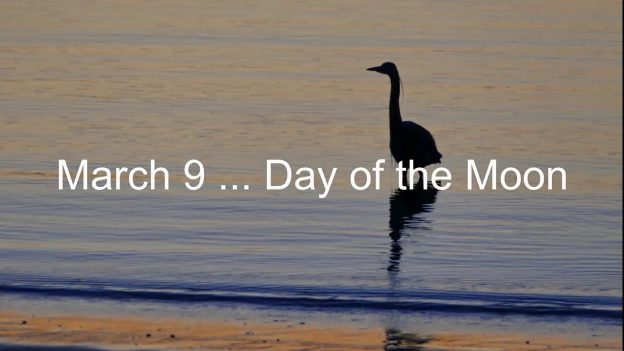 march 9 day of the moon - YouTube