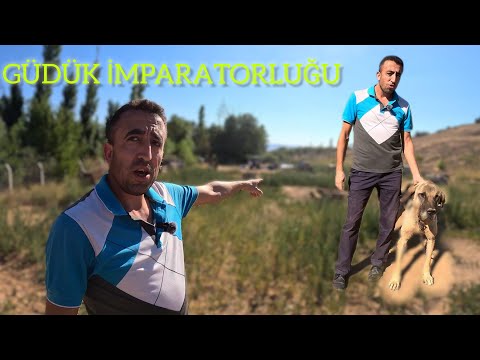 SADECE GÜDÜK SOYU BESLİYOR.\