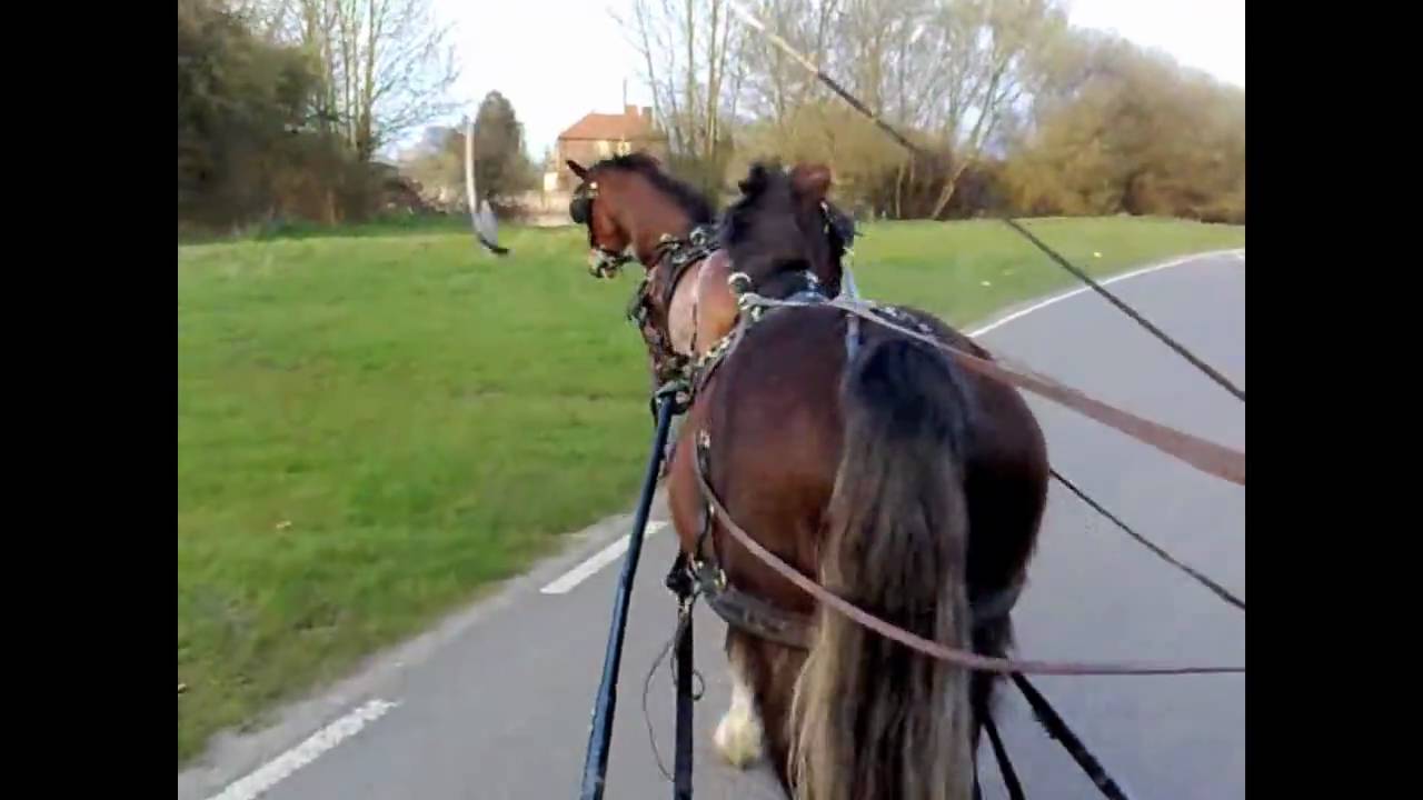 Tandem Driving Training Day 8 New sights - YouTube