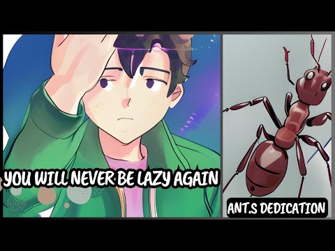 You will never be lazy again | ants dedication | inspiration story ...