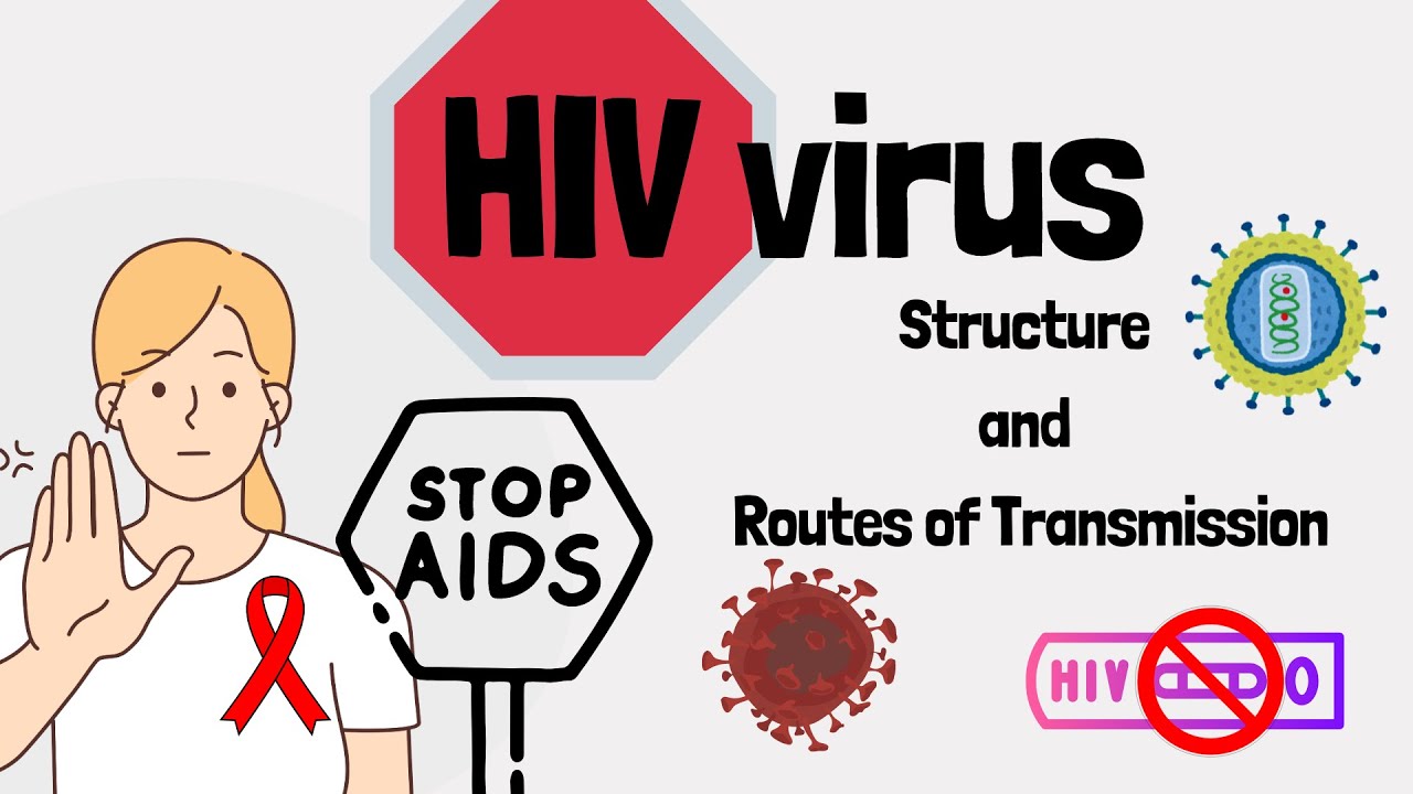 HIV Structure and Transmission Explained! | AIDS #aids #cdc - YouTube