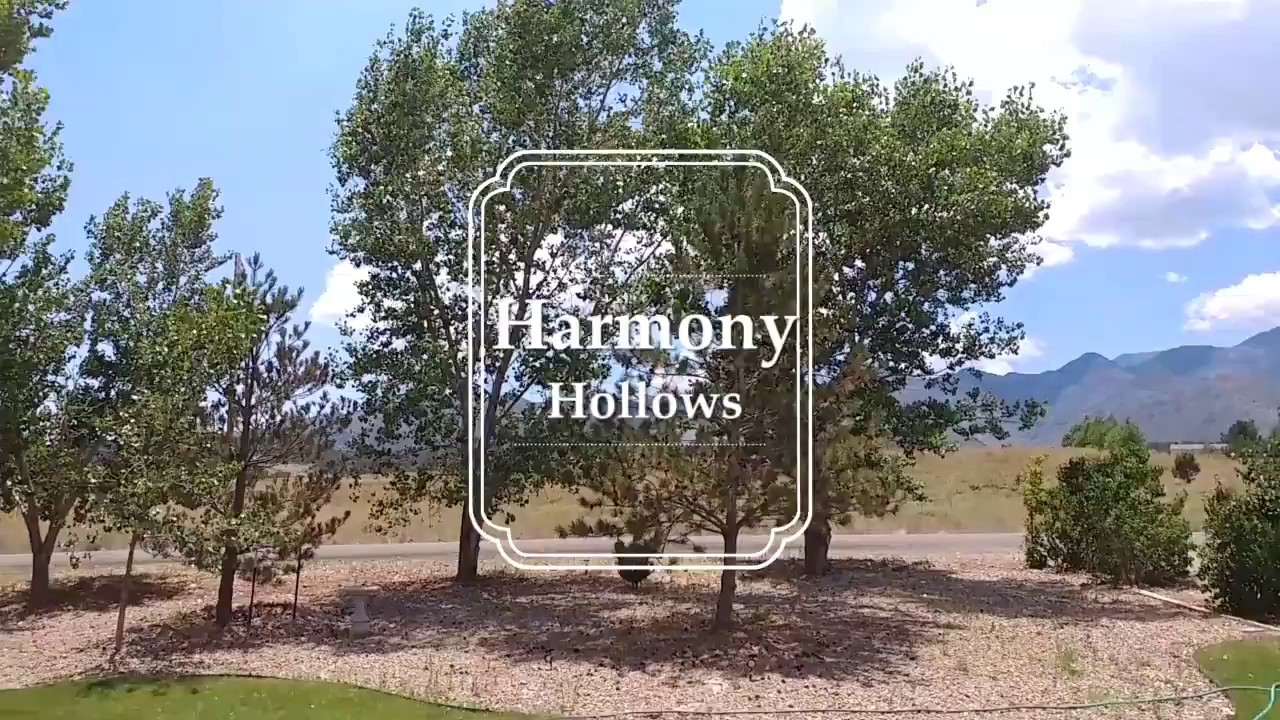 Making HERBAL WORMING BALLS for our GOATS - Harmony Hollows - YouTube