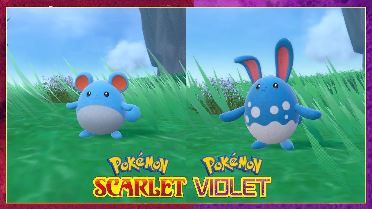 Pokemon Scarlet & Violet How To Evolve Marill Into Azumarill - YouTube