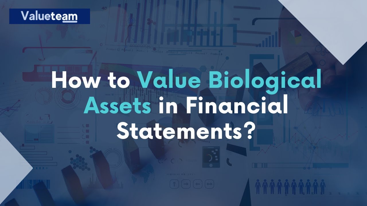 How to Value Biological Assets in Financial Statements? - YouTube
