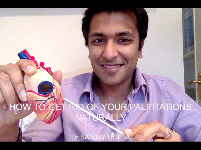 Rod Tung's Instagram, Twitter & Facebook on IDCrawl