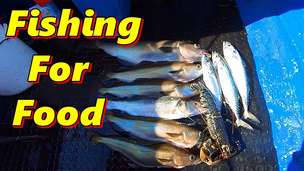 Life of a Fisherman - Fishing for Food - YouTube