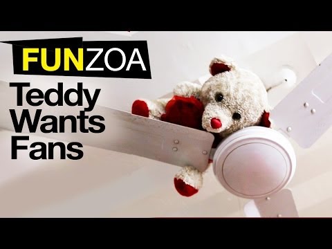 Teddy On Mission For Lack Of Fans- Funny Video For Friends