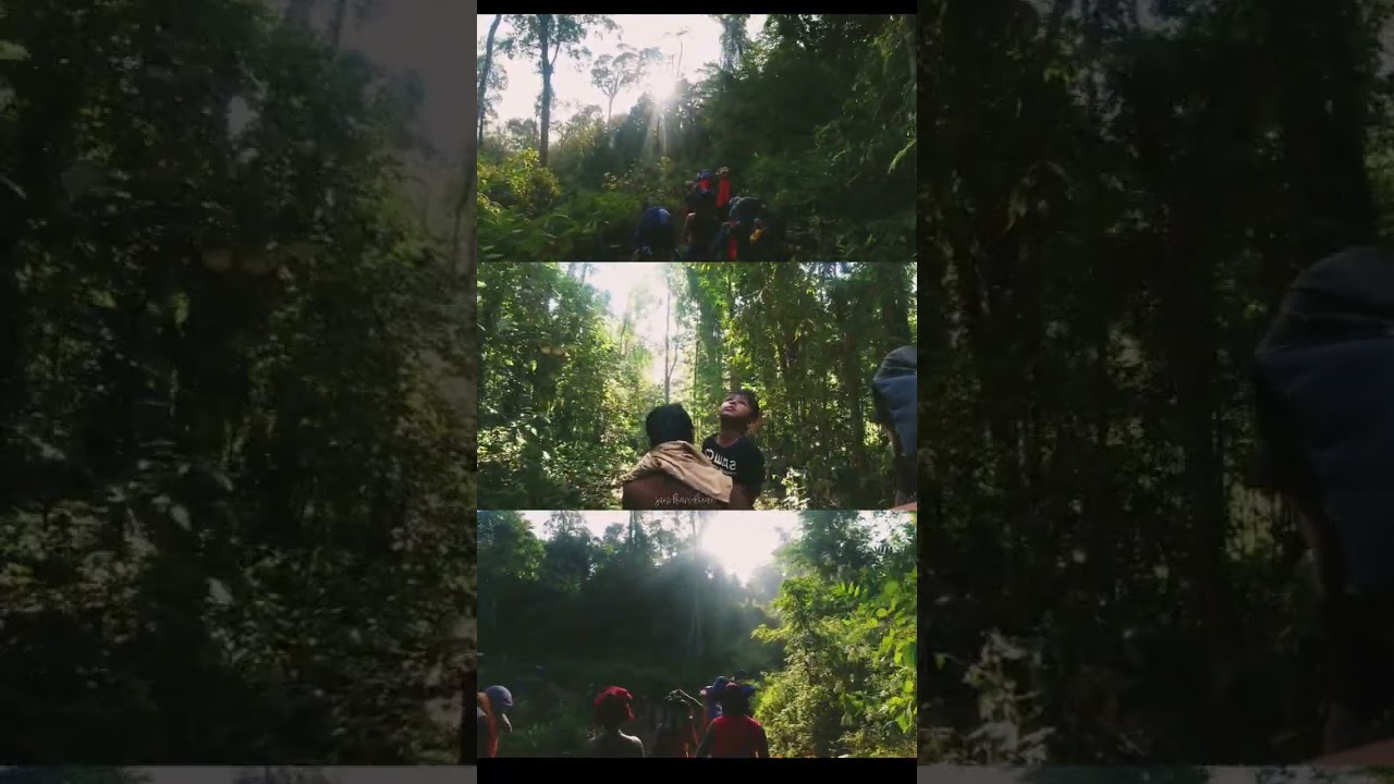 Sabarimala Traditional Path | Karimala Forest Path #shorts #sabarimala ...