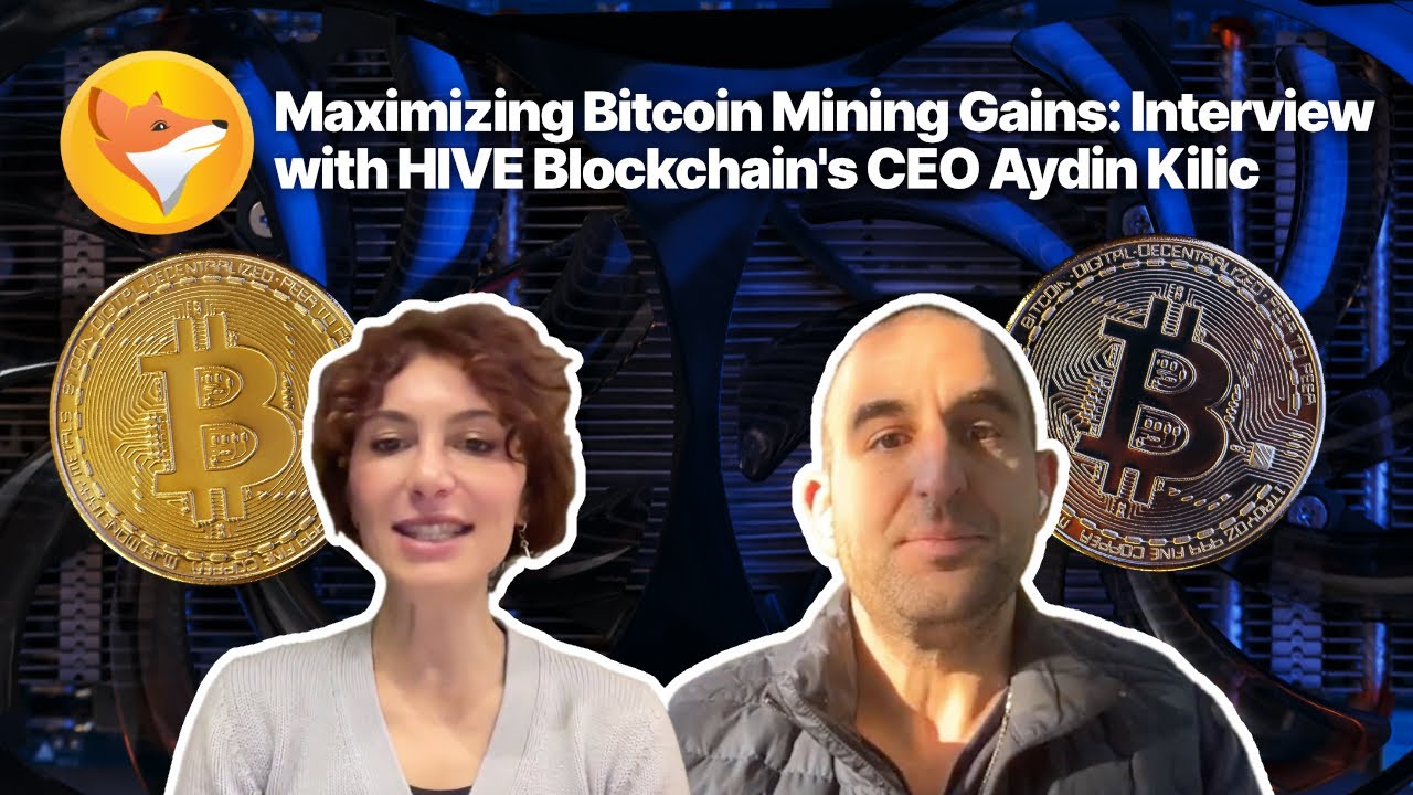 Maximizing Bitcoin Mining Gains: Interview with HIVE Blockchain's CEO ...