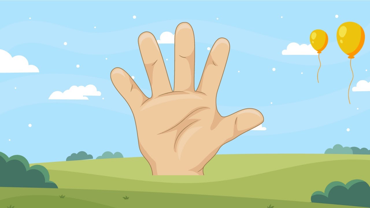 Les doigts de la main - Jeu éducatif - YouTube