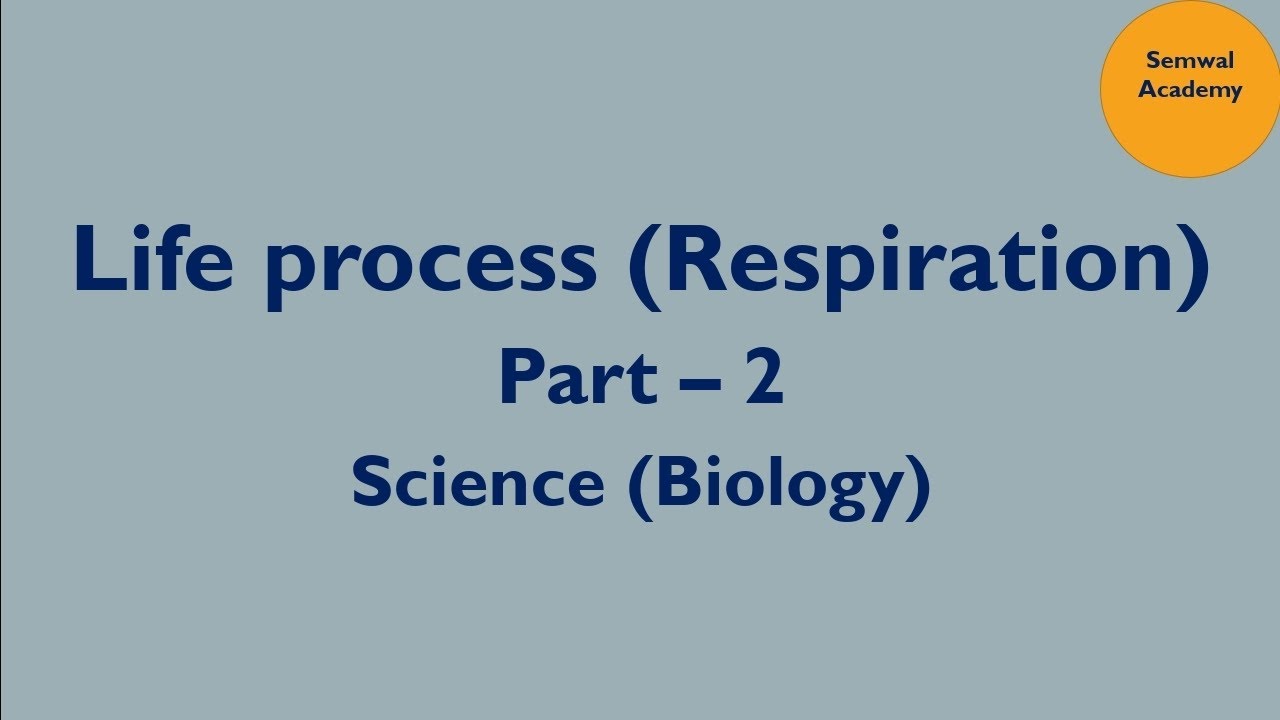 Life process (Respiration) part - 2 #science #biology - YouTube