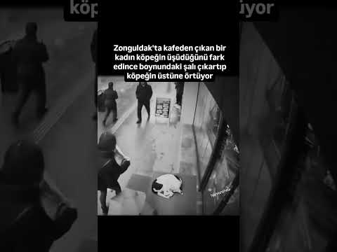 ÜŞÜYEN KÖPEĞE ŞALINI VEREN KADIN