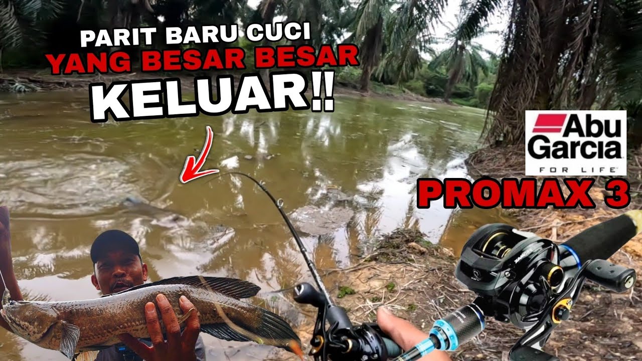 HARUAN BESAR !!. Casting haruan di parit baru cuci. ABU GARCIA PROMAX 3. MAGURO GIANT MASTER 10 ...
