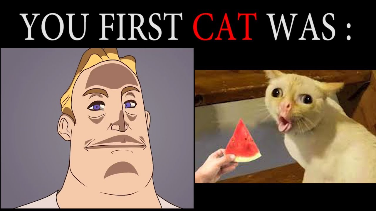 Mr Incredible Becoming Canny (You First Cat Is) - YouTube