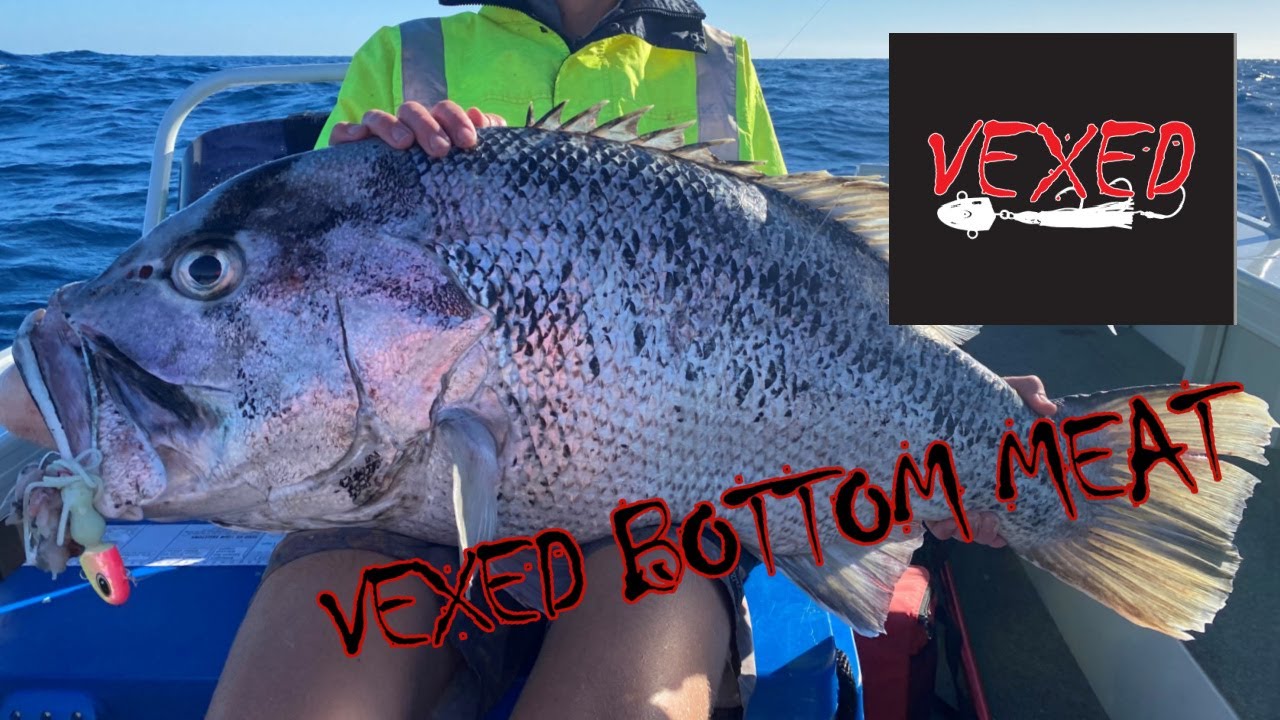 THIS IS WHAT EVERYONE IS TALKING ABOUT! VEXED BOTTOM MEAT HYBRID JIG ...