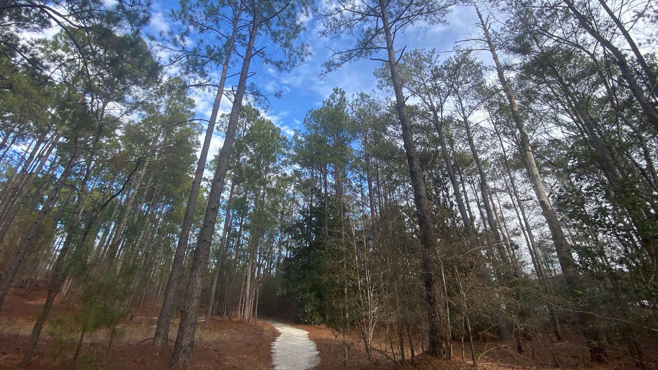 A “hike” on the Big Pine Tree Creek Nature Trail at Goodale State Park ...