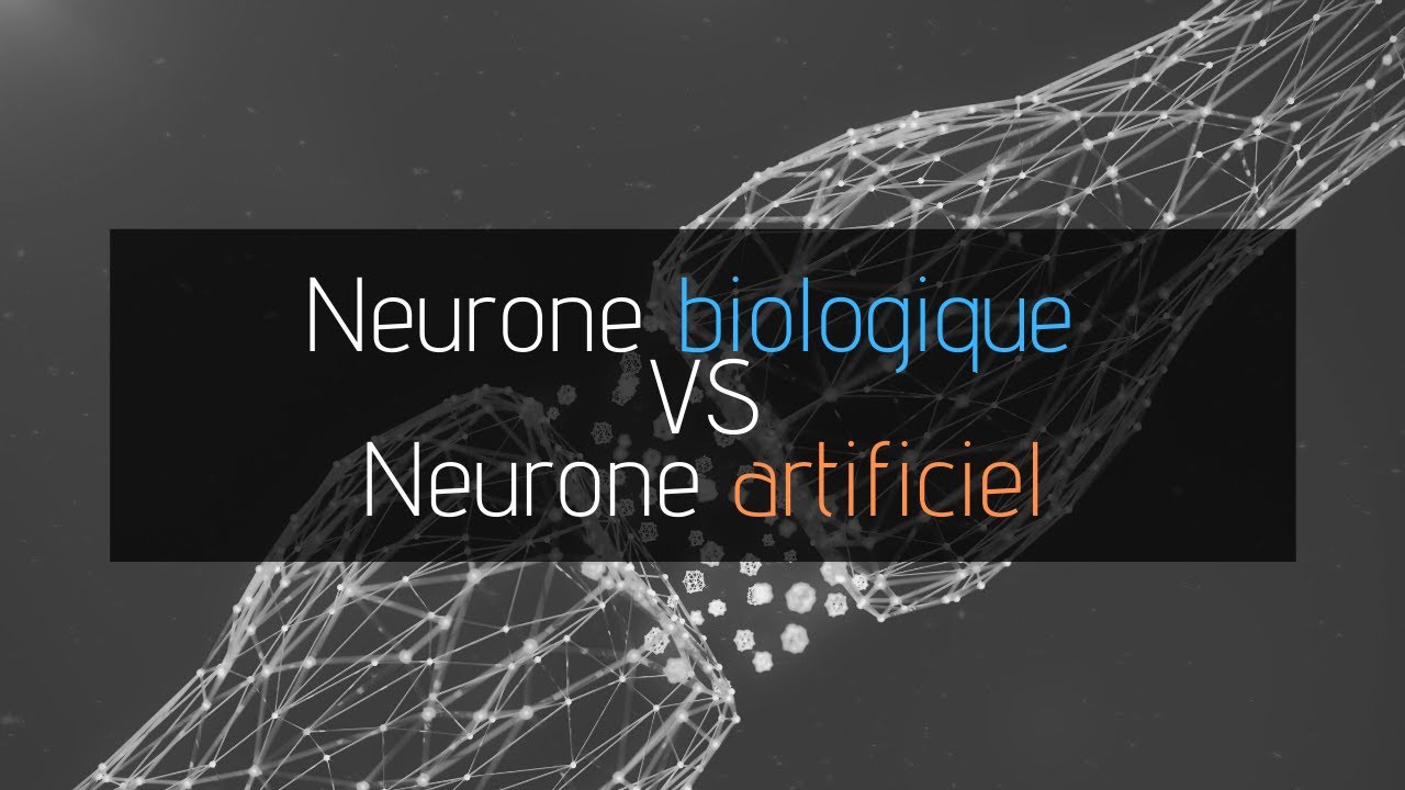 Neurone biologique VS Neurone artificiel - YouTube