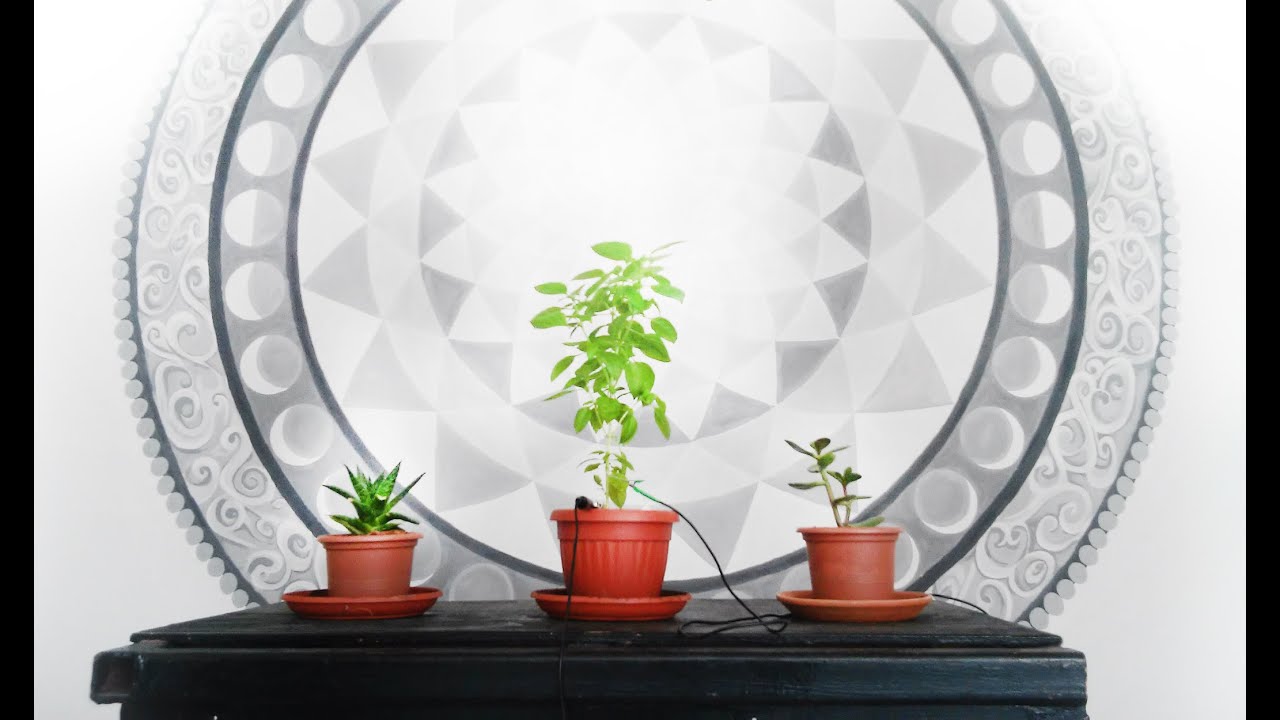 The Soul of the Plants - YouTube