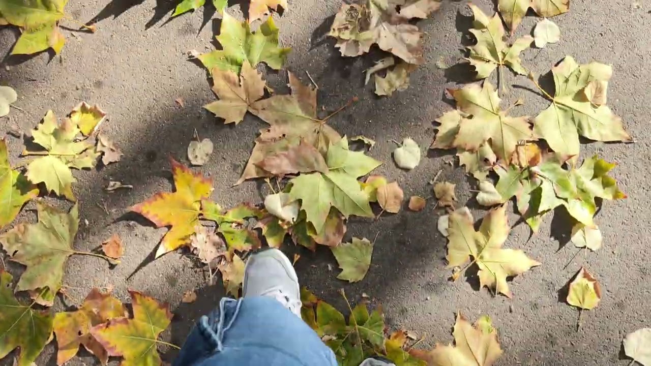 OPPO Find X8 Pro, 4K Video Sample