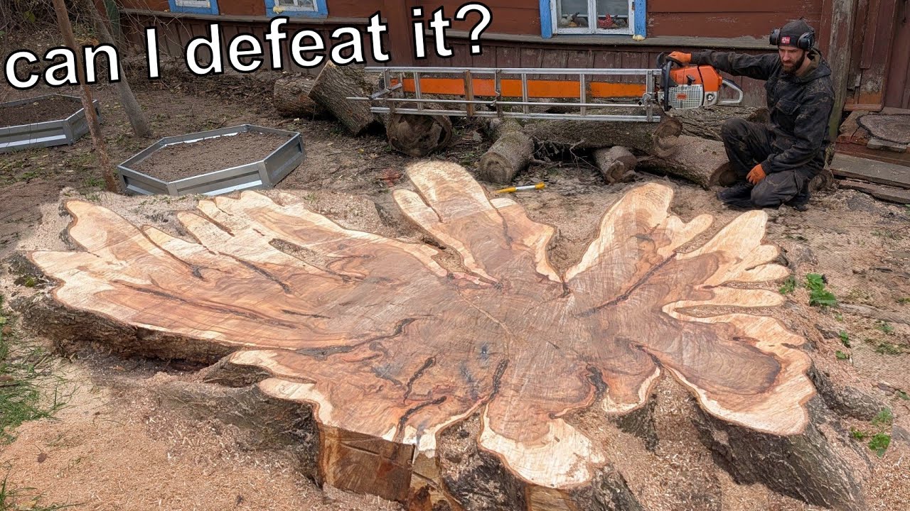 Monster saw vs. giant stump – can I defeat it? - YouTube
