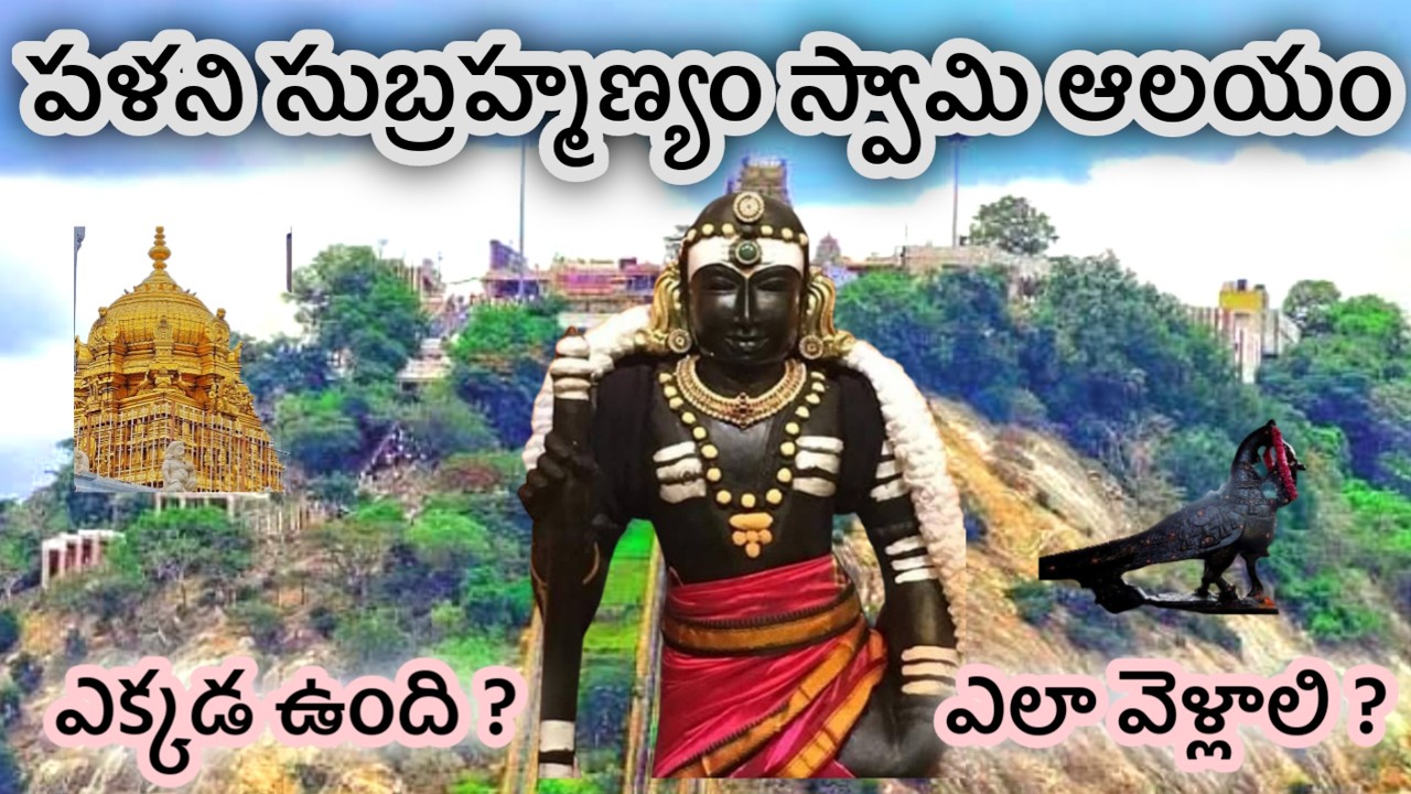 Palani subramanya swamy temple full tour in telugu | Palani temple ...
