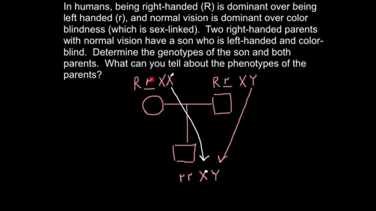 How to solve genetic problems by drawing a pedigree chart - YouTube