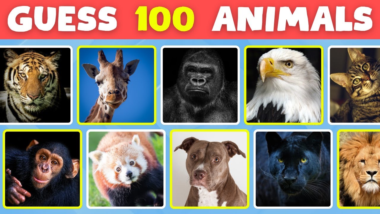 Guess The Animal in 3 Seconds | Animal Trivia With Answers - YouTube