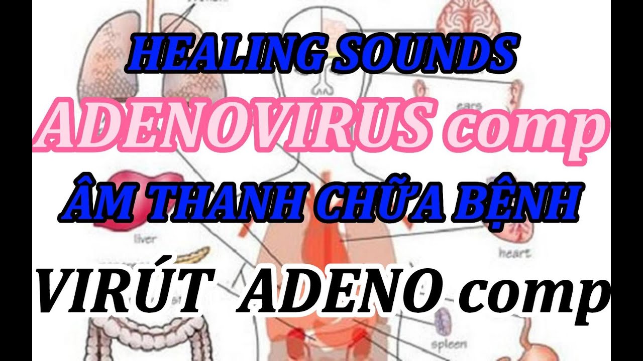 ADENOVIRUS comp .Bệnh VIRUS ADENO . - YouTube
