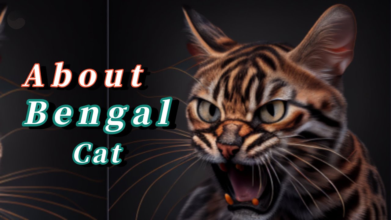 CAT's HISTORY -- About Bengal Cat, Comfortably for watching - #1 search ...