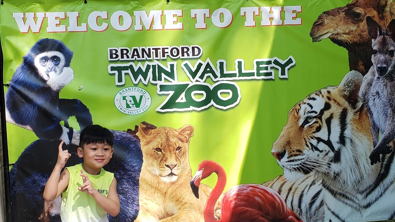 BRANTFORD TWIN VALLEY ZOO - YouTube