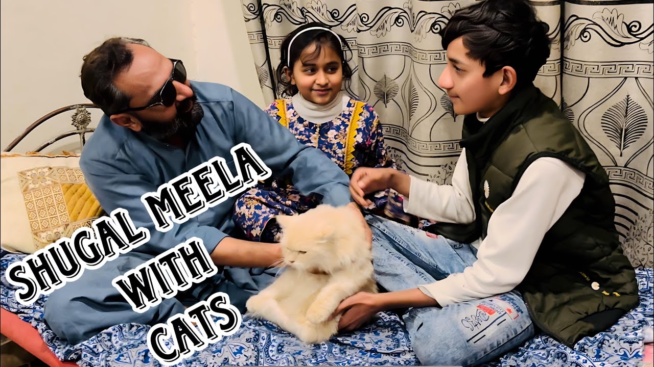 Shugal Meela with Cats😂😂 - YouTube