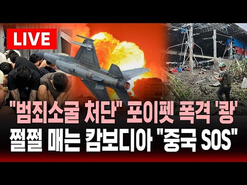 라이브 - SBS 뉴스