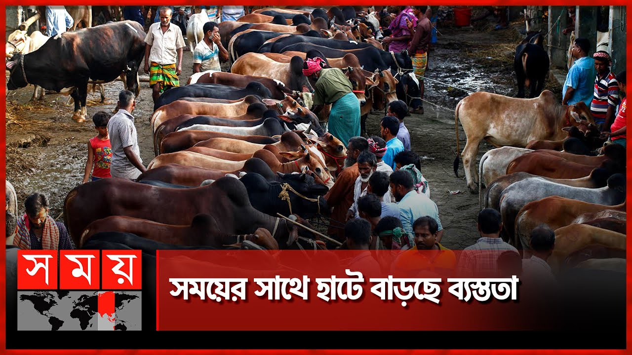 হাটজুড়ে হাঁকডাক! | Cow Haat | Qurbani Eid | Somoy TV - YouTube