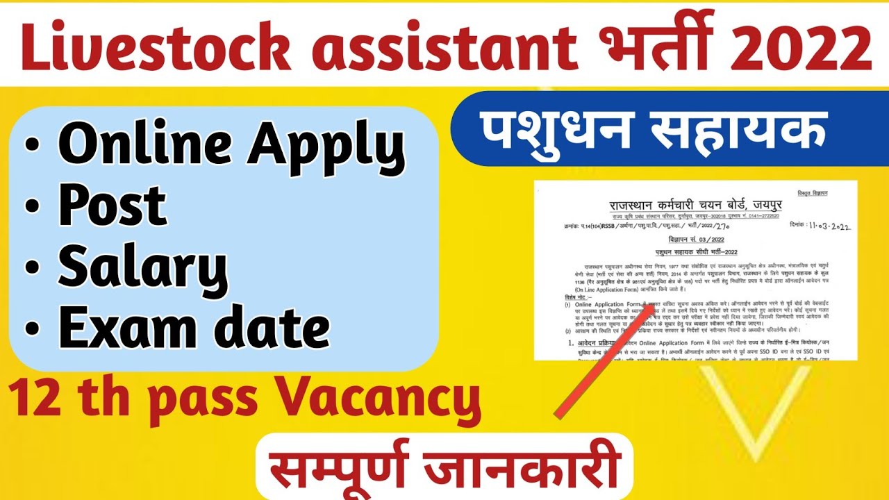 Livestock assistant सीधी भर्ती 2022 | RSMSSB पशुधन सहायक भर्ती 2022 ...