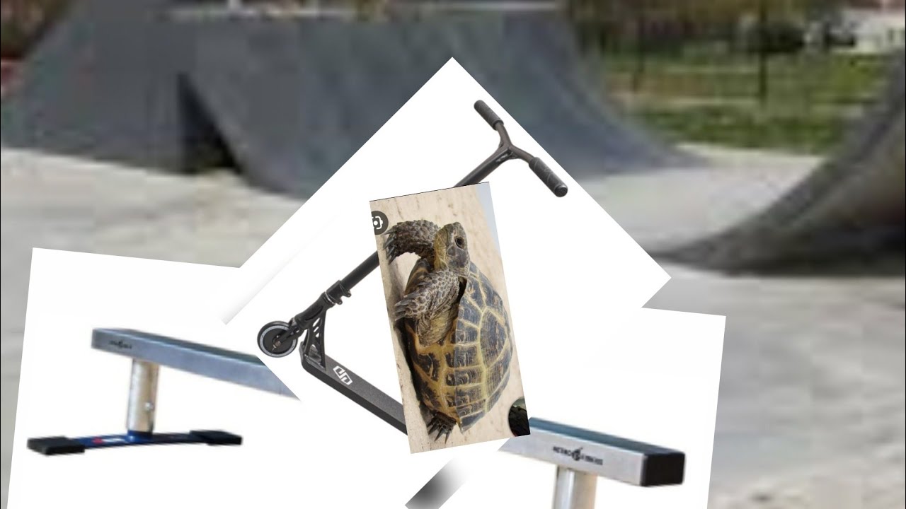 turtle edit - YouTube