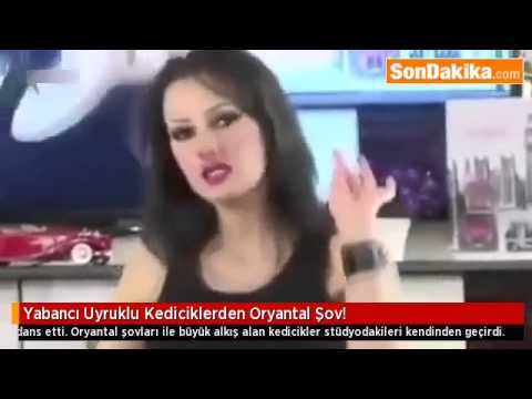 Yabancı Uyruklu Kediciklerden Oryantal Şov.