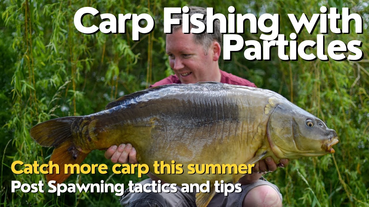 Carp Fishing with Particle Baits - Post spawning tactics and tips ...