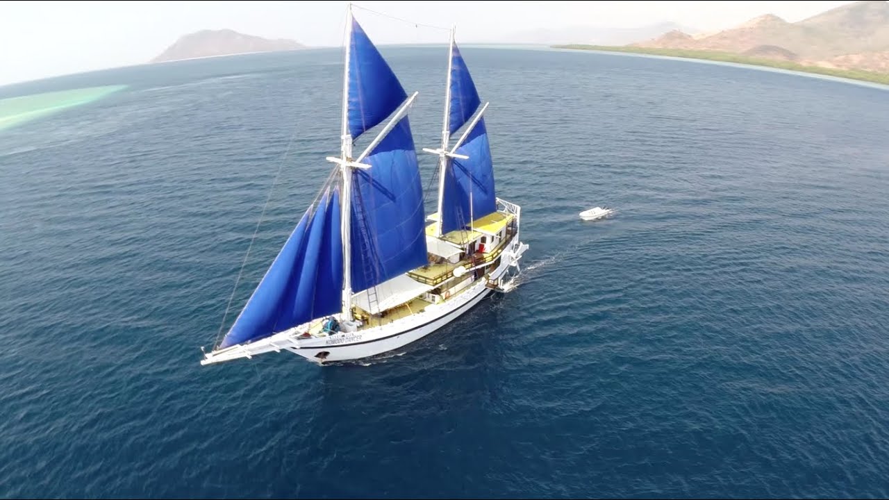 The Aggressor Fleet - YouTube