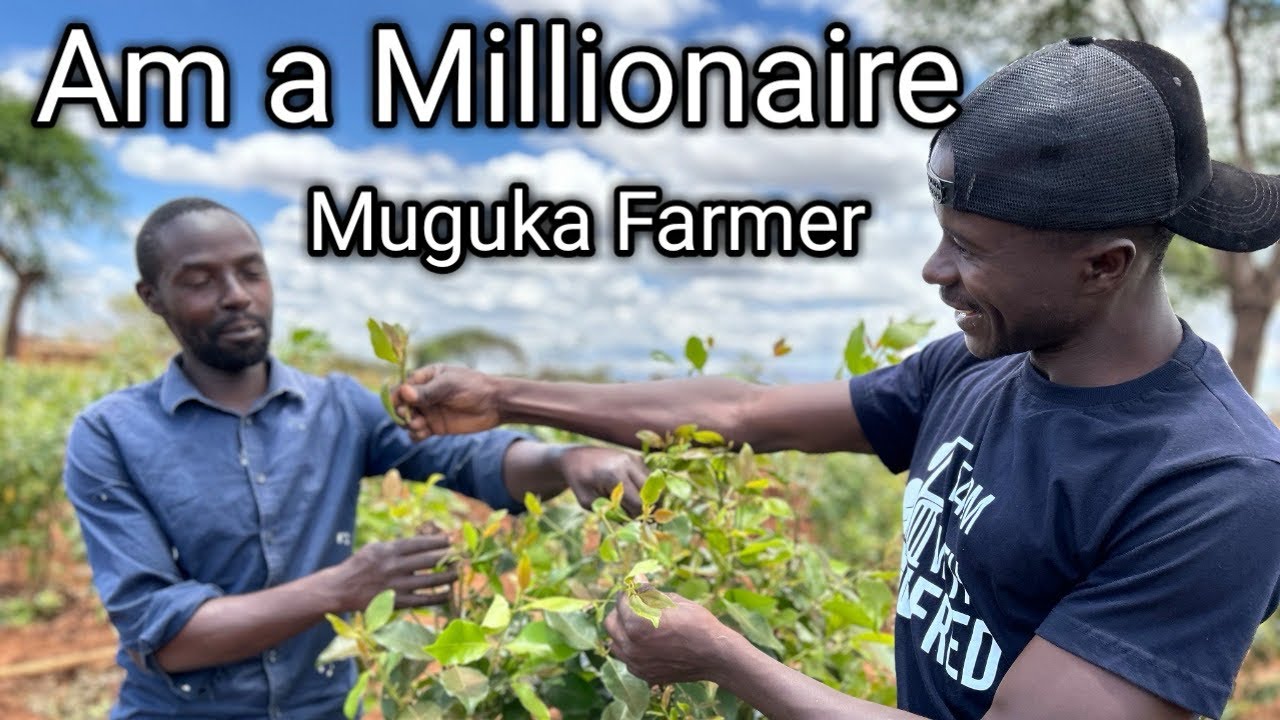 Breaking the Mold: How I Became a Millionaire with Muguka Farming - YouTube