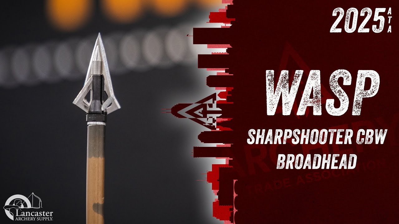 Wasp Sharpshooter CBW Broadhead: Cuts Both Ways! - YouTube