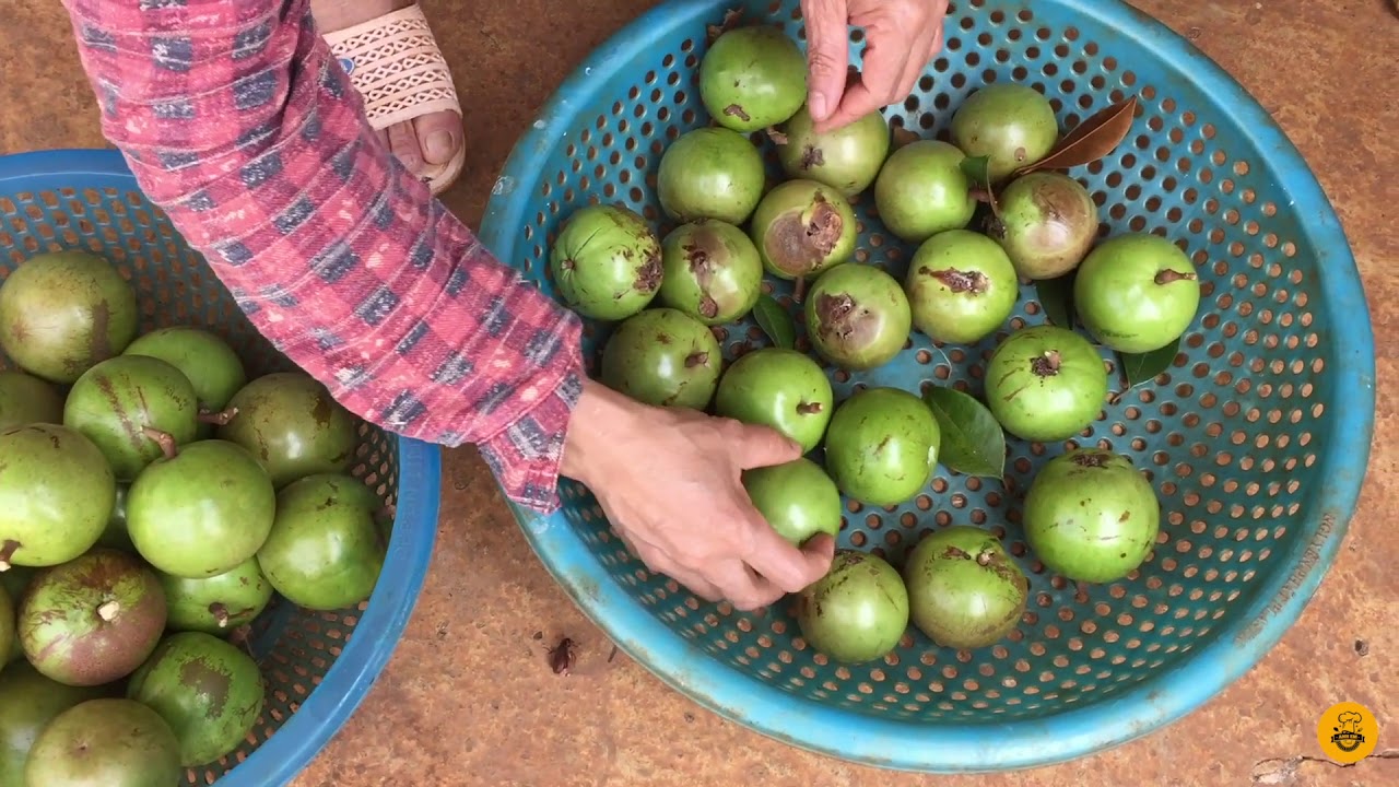 VÚ sữa nhà trồng - Fruit Crew Harvesting Star Apple, How to eat Star ...