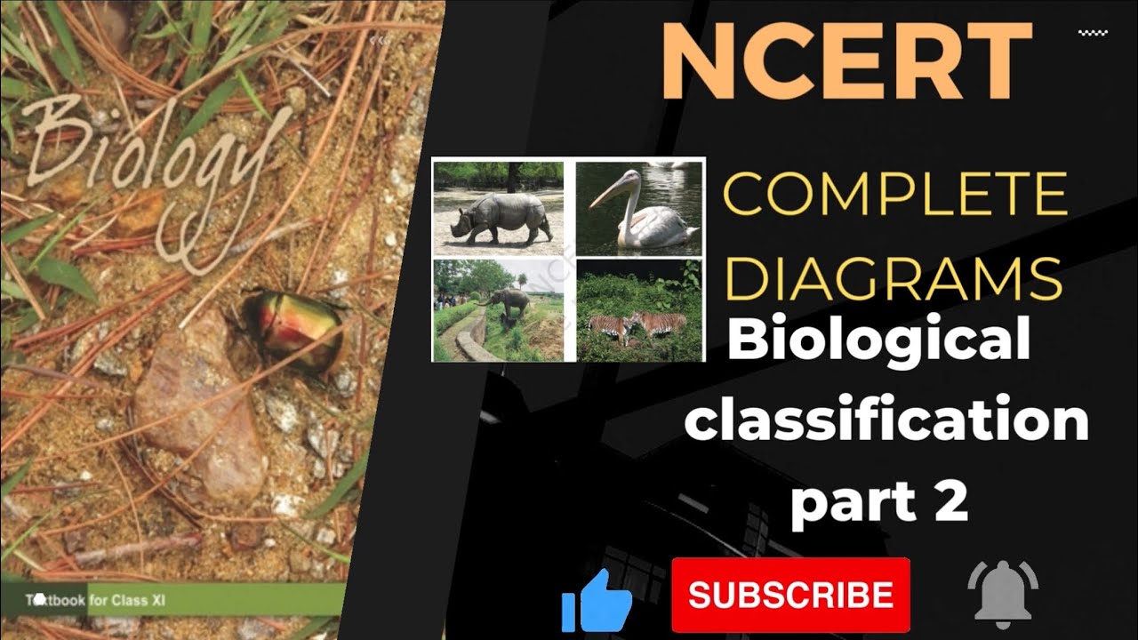 Biological classification part 2 |NCERT Full diagram| NEET Biology ...