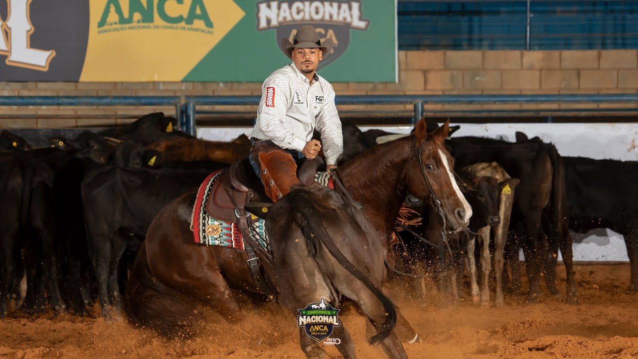 Campeonato Nacional ANCA 2023/2024 - Reservada Campeã - Aberta Livre ...