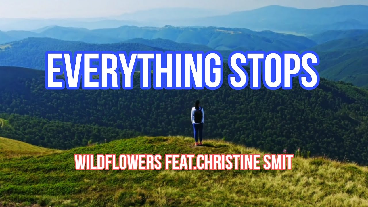 Everything Stops-Wildflowers feat. Christine Smit ( Lyrics Video ...