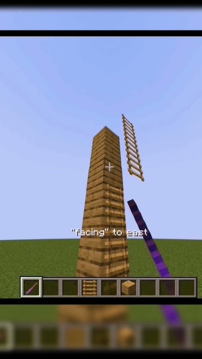 Minecraft Java build hacks #shorts #minecraft - YouTube